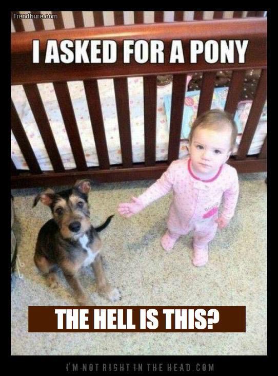 LOLHeaven.com – Page 3 – Funny Funny Funny LOL LOL LOL